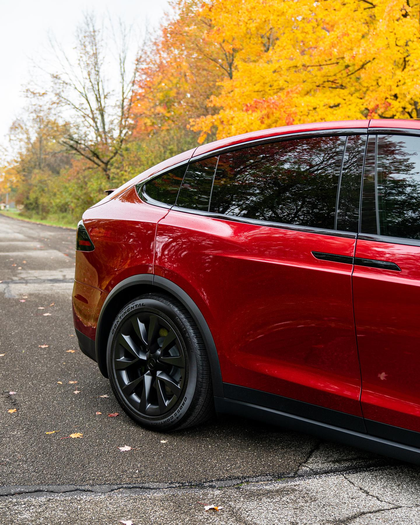 Top Rated Tesla Ceramic Coating | Ceramic Pro Cleveland